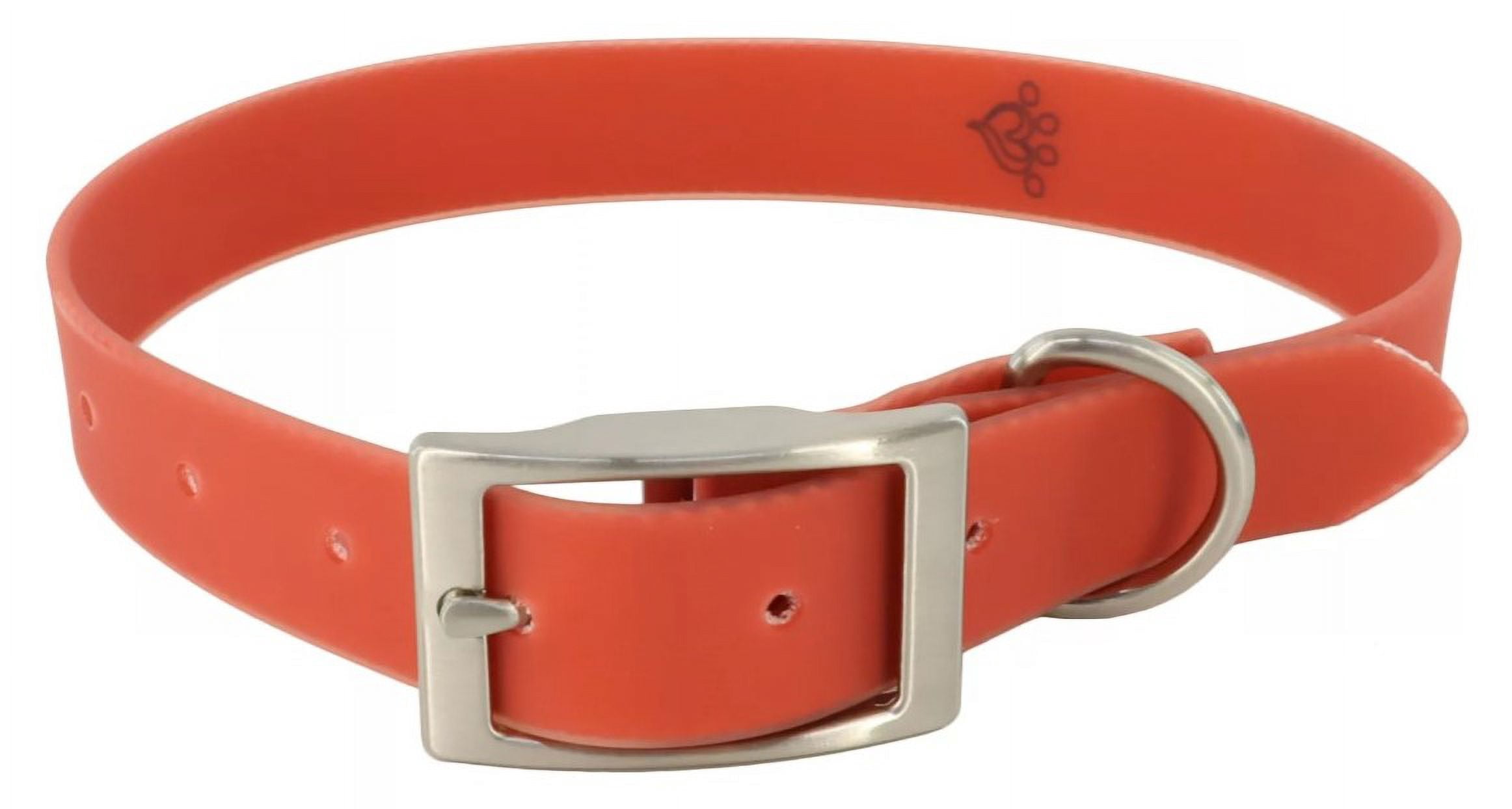 MuttNation Fueled by Miranda Lambert Rust-Colored Waterproof Dog Collar ...