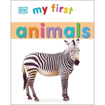 My 1st Words (Board Book) - Walmart.com