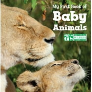 Baby Animals (Board Book) - Walmart.com