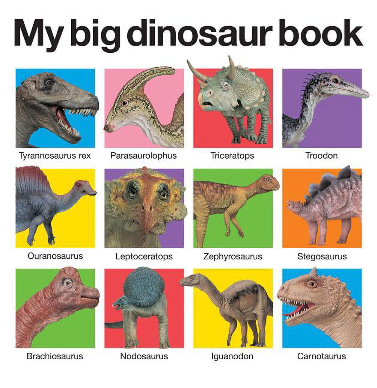My Big Board Books My Big Dinosaur Book, (Board Book) - Walmart.com