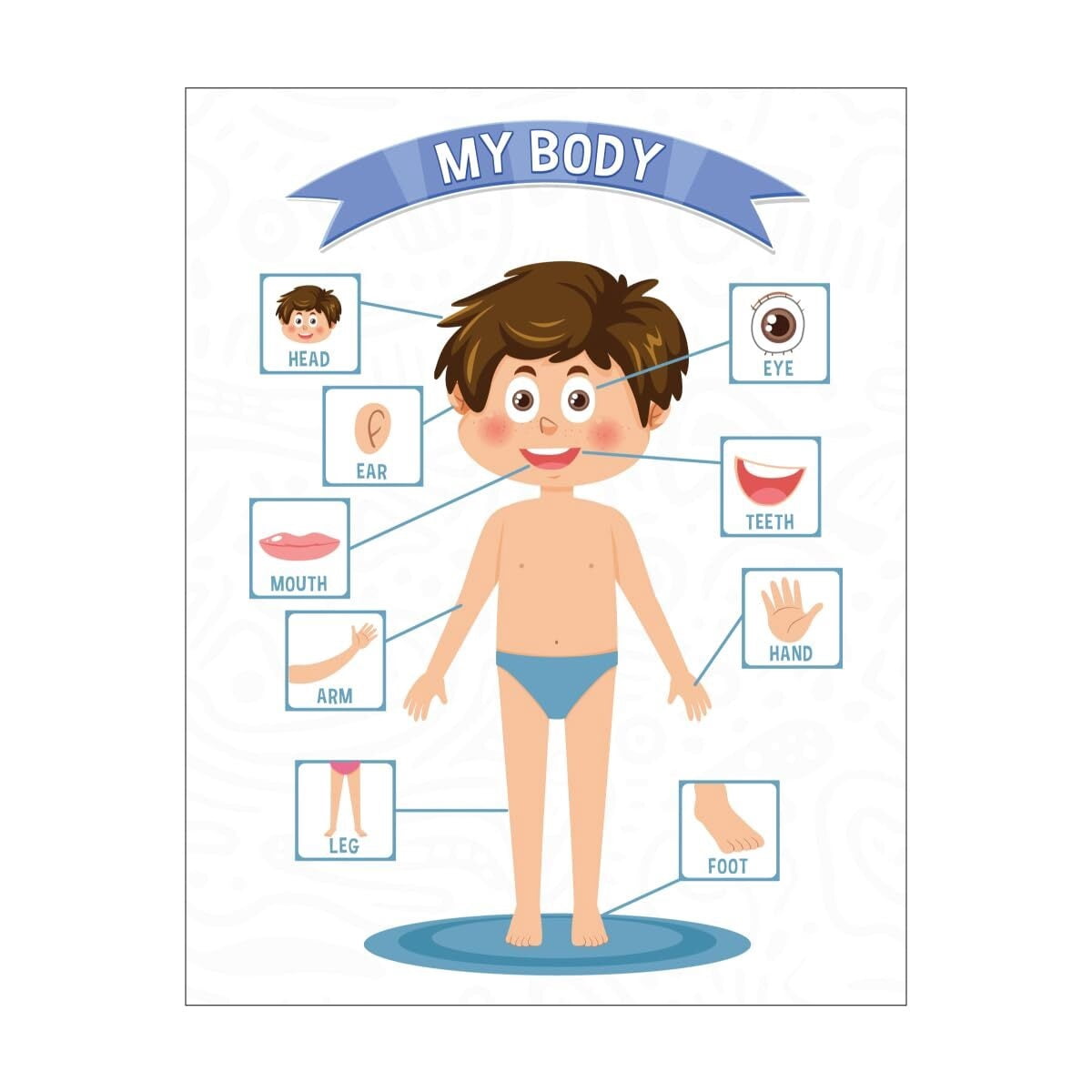 My Body Educational Poster for Classroom Poster Wall Charts for ...