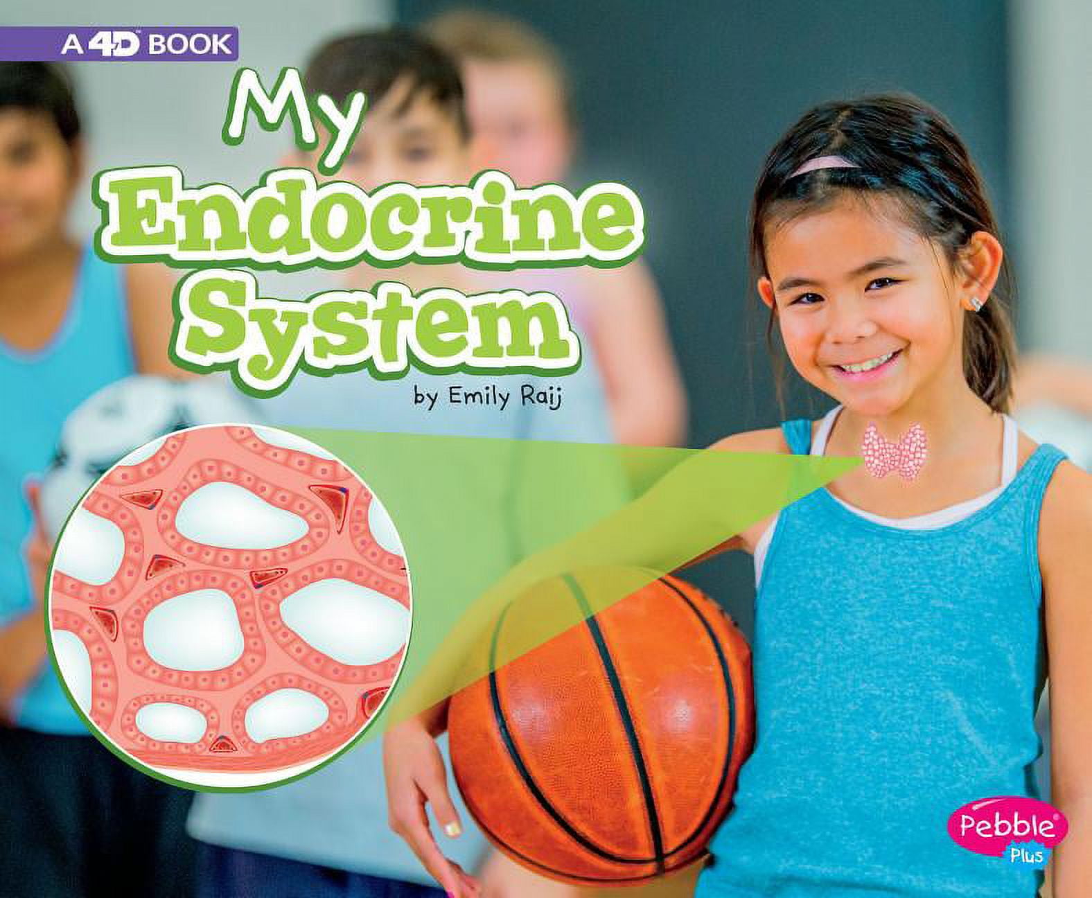 My Body Systems: My Endocrine System : A 4D Book (Hardcover) - Walmart.com