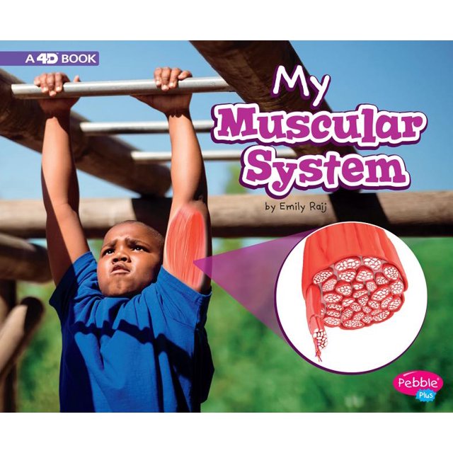My Body Systems: My Muscular System : A 4D Book (Hardcover) - Walmart.com