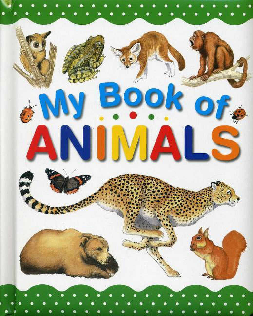 My Book of Animals (Board book) - Walmart.com