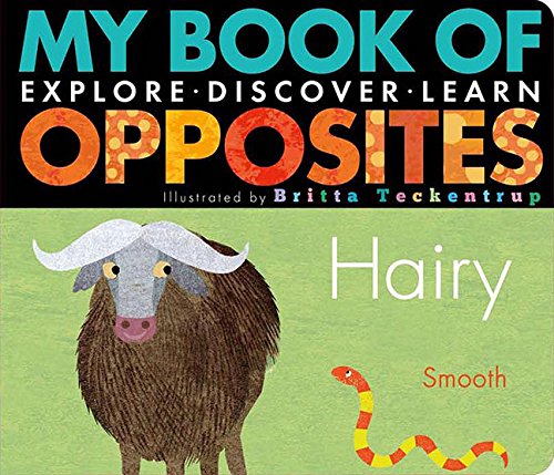 Pre-Owned My Book of Opposites Paperback - Walmart.com