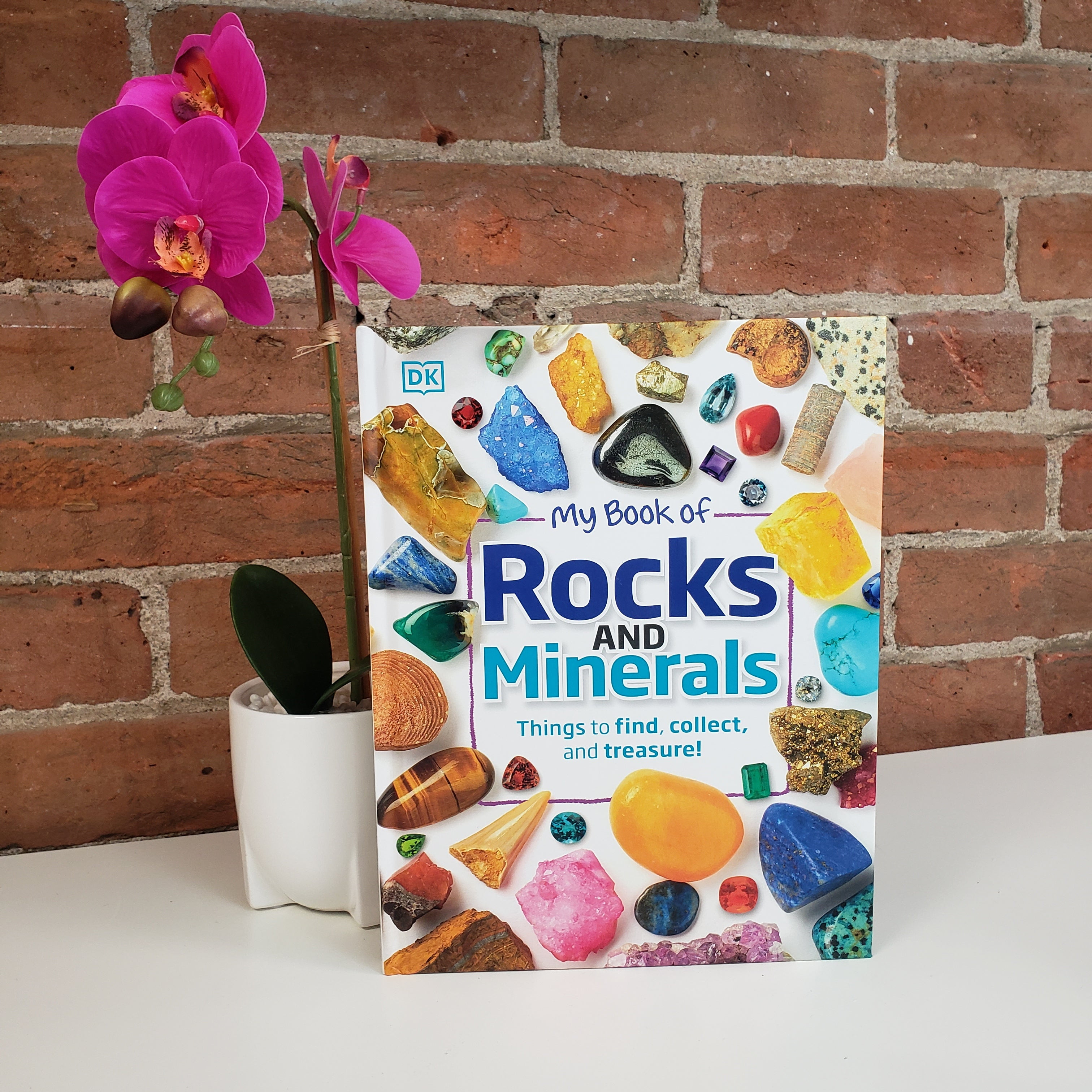 My Book of Rocks & Minerals Book - Walmart.com