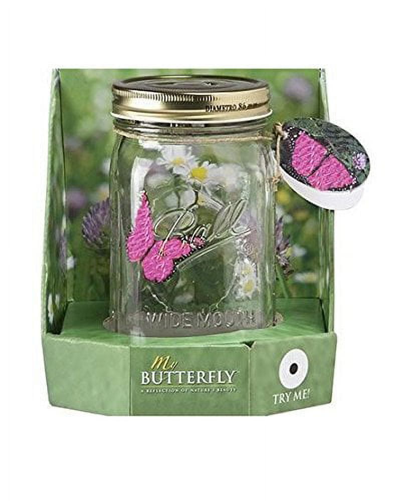 My Butterfly Collection - Animated Butterfly in a Jar - Pink Morpho ...