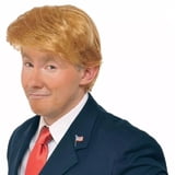 My Costume Wigs Realistic Donald Trump Presidential Wig, One Size Fits ...