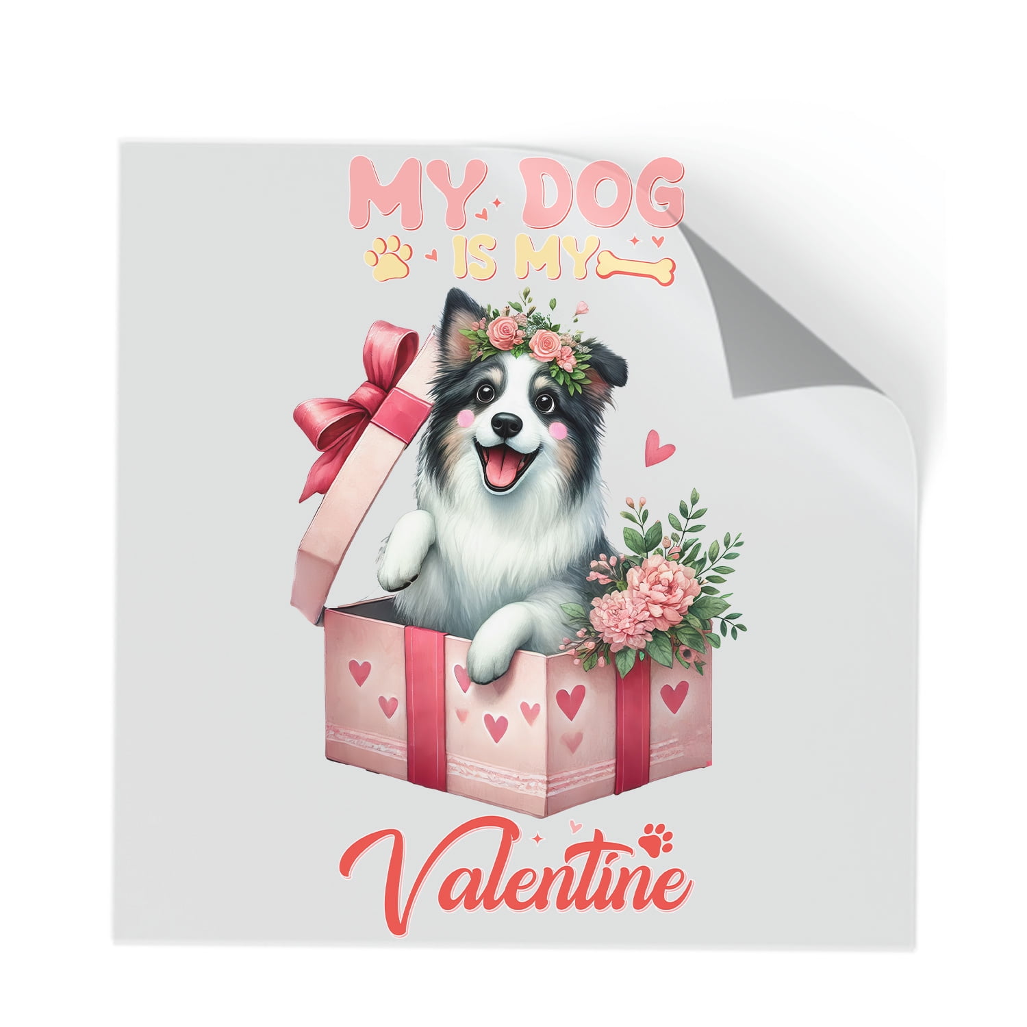 My Dog Is My Valentine Cute Border Collie in Gift Box Cutout Transfer ...
