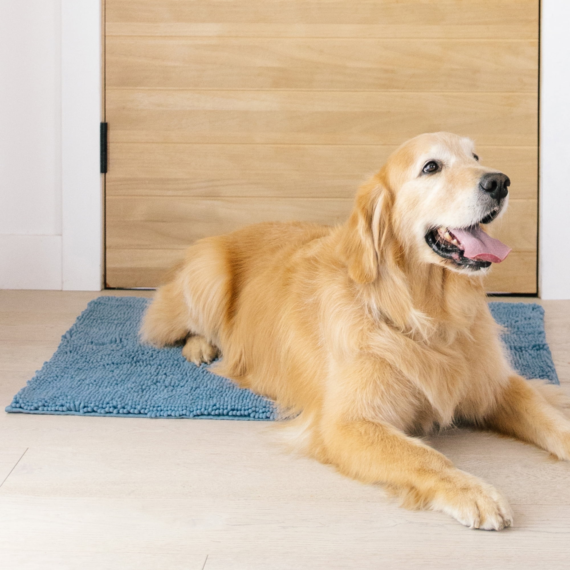 My Doggy Place Dog Mat for Muddy Paws, L Washable Dog Dog Mat, Faded ...