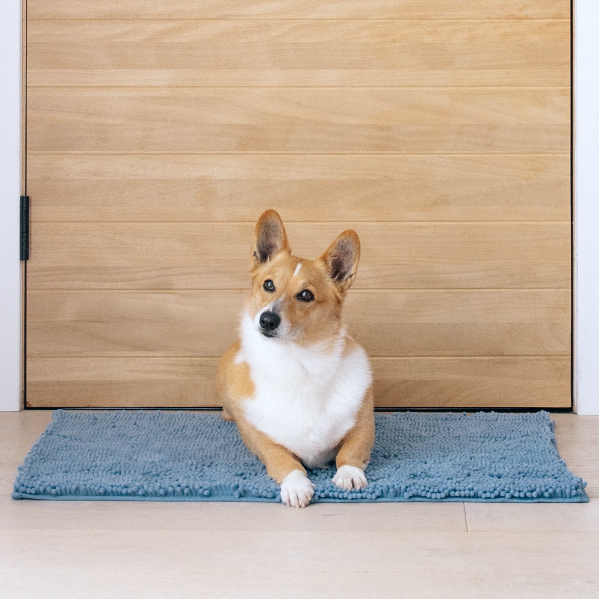 My Doggy Place Waterproof Dog Mat for Muddy Paws, Washable Microfiber ...