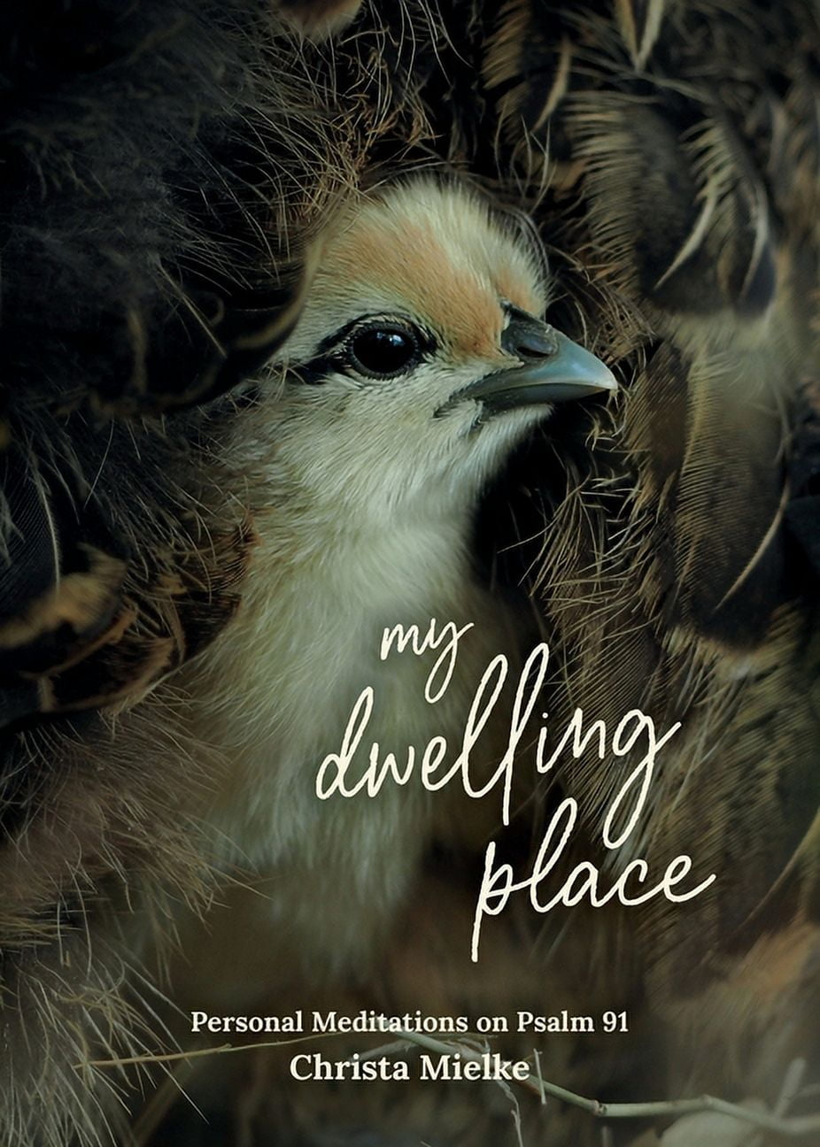 My Dwelling Place: Personal Meditations on Psalm 91 (Paperback) by ...