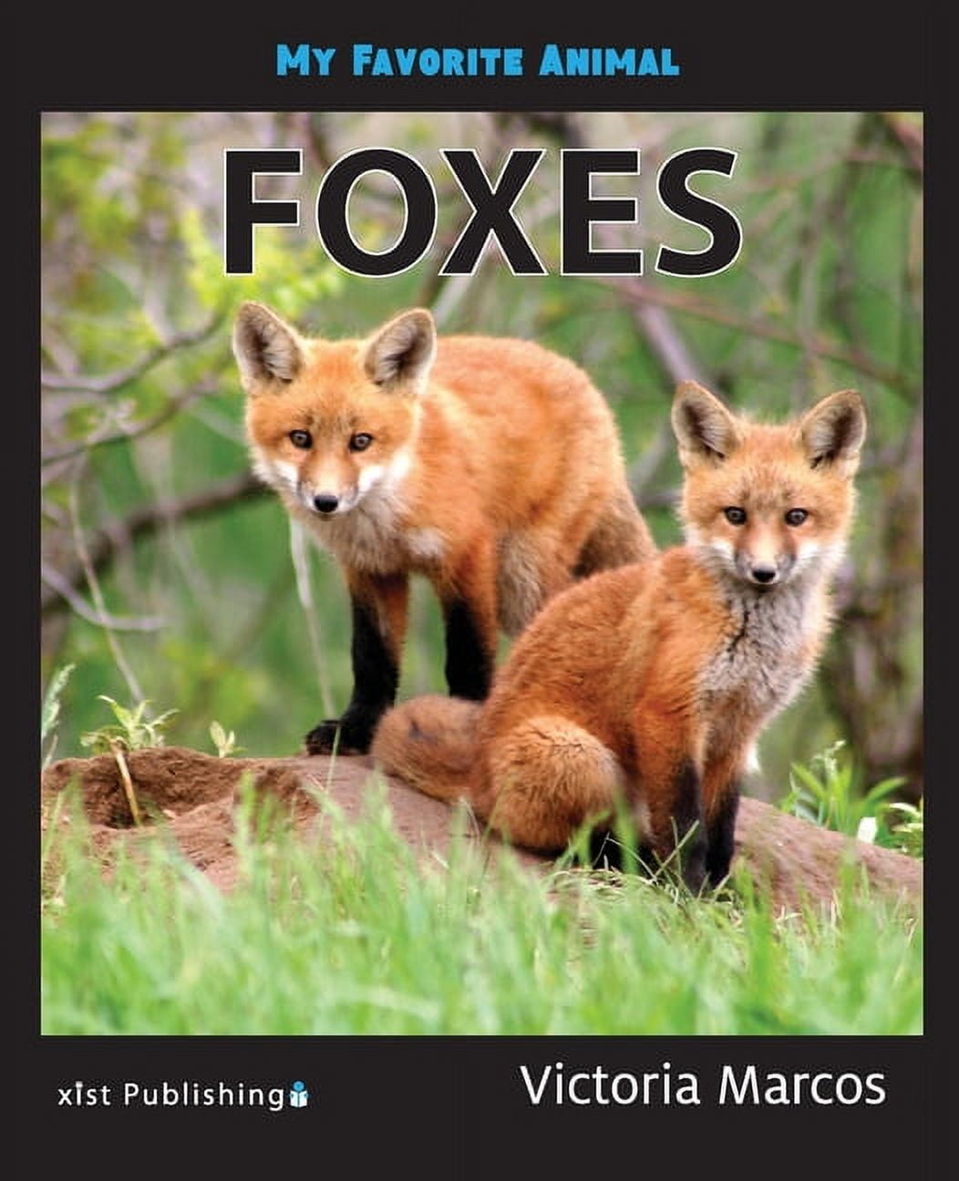 My Favorite Animal: My Favorite Animal: Foxes (Paperback) - Walmart.com