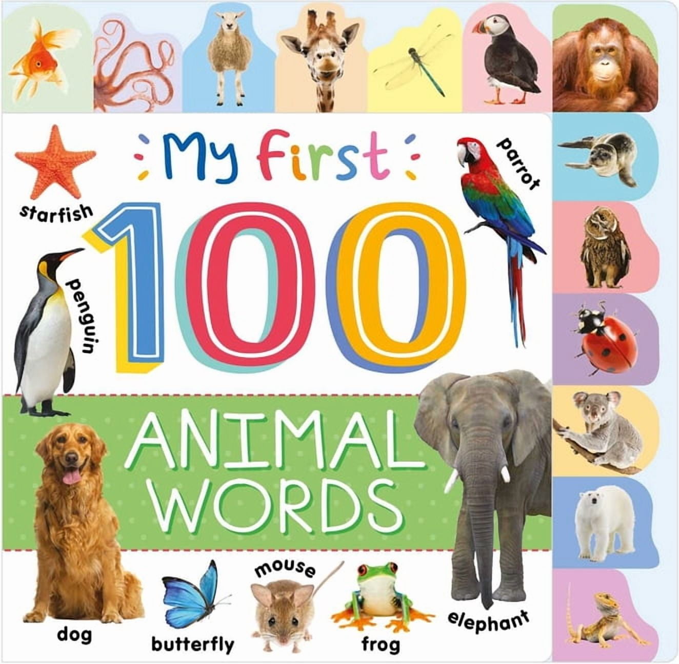 My First 100 Animal Words: Photographic First Picture Dictionary with ...