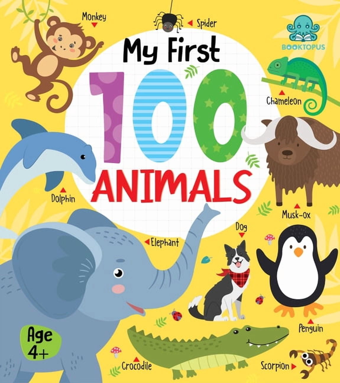 My First 100 Board Book My First 100 Animals Board Book, (Board Book ...