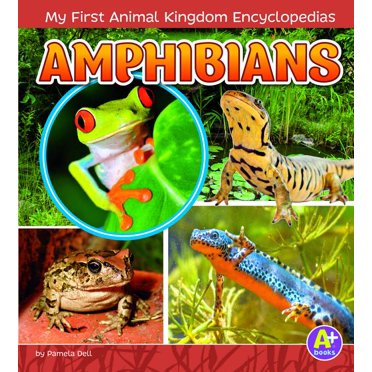 Animals Measure Up: How Far Underground? : Burrowing Animals (Hardcover ...