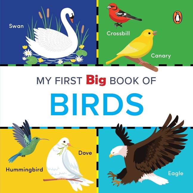 My First Big Book of Birds: Illustrated Board Book of Birds for ...