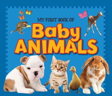 Pre-Owned My First Book of Baby Animals (Board book) 1464302359 ...