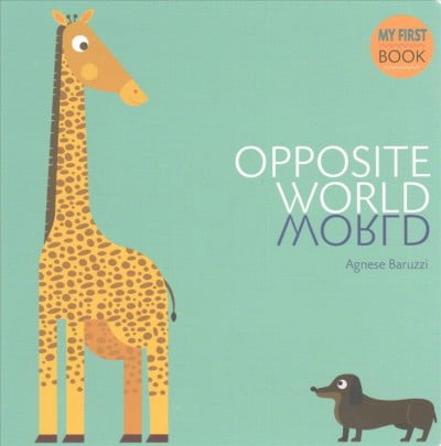 My First Book: Opposite World (Board Book) - Walmart.com
