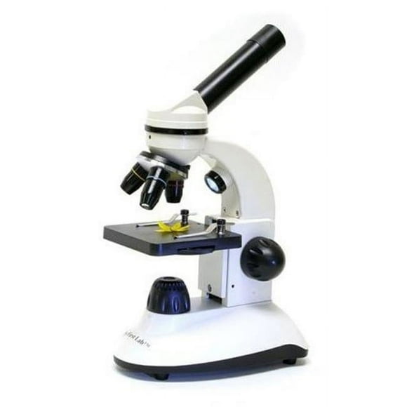 Lab Scope