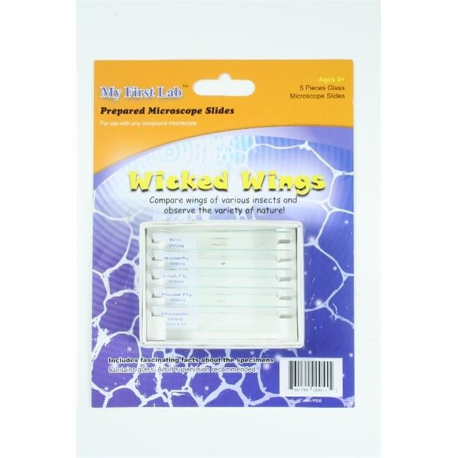 My First Lab Prepared Microscope Slides Wicked Wings C&A 0555 - Walmart.com