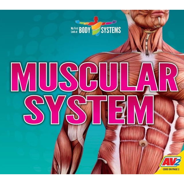 My First Look at Body Systems: Muscular System (Hardcover) - Walmart ...