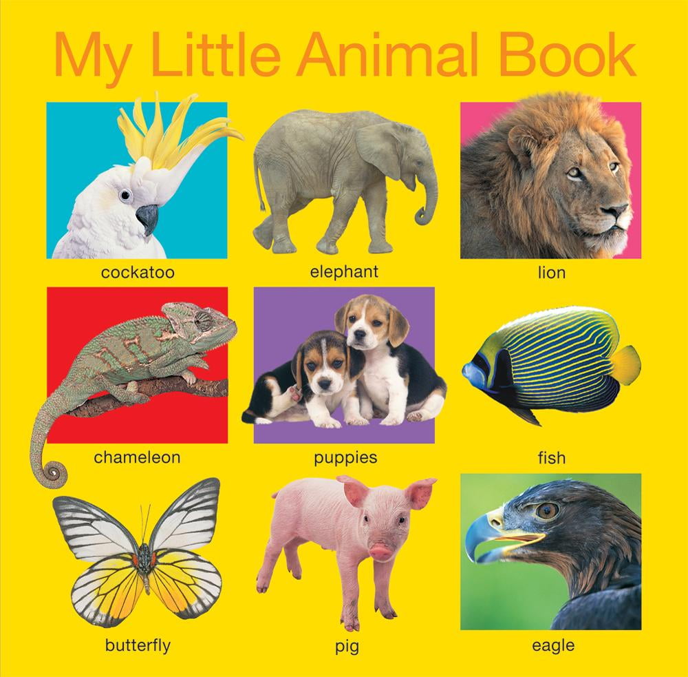 My Little Animal Book - Walmart.com
