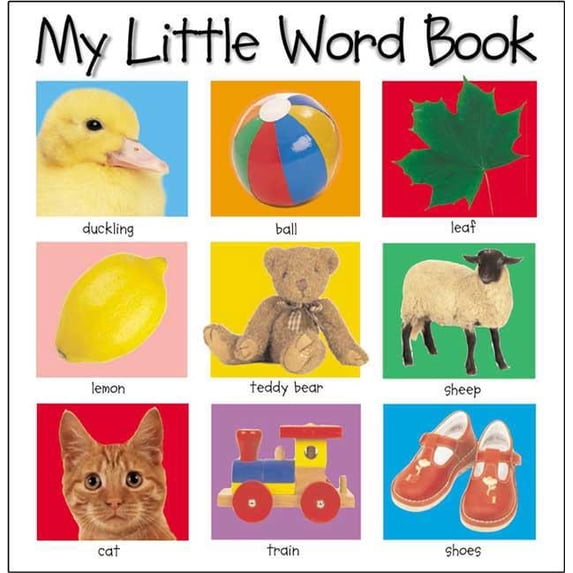 My Little Word Book (Board Book) - Walmart.com