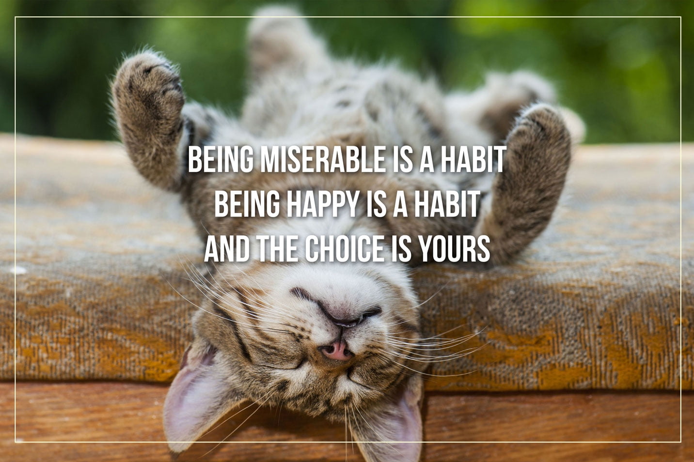 My Morning Affirmations Quotes Photographic Print Poster - Being ...