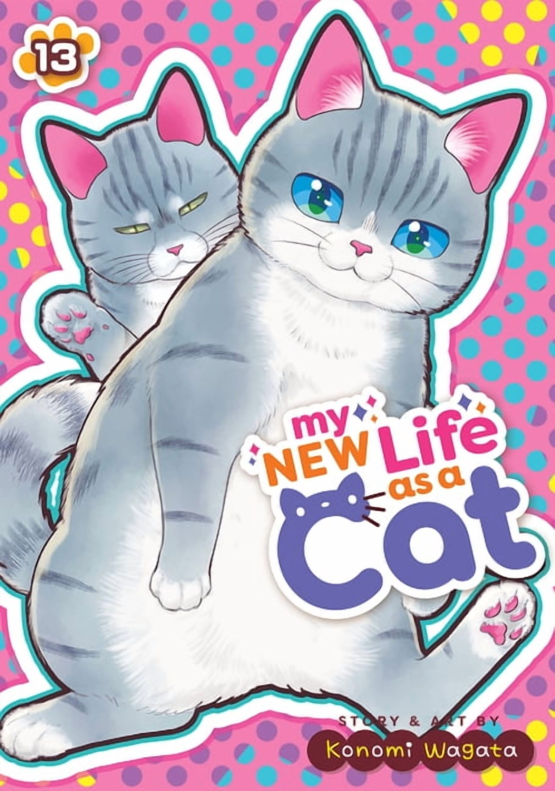 My New Life as a Cat My New Life as a Cat Vol. 13, (Paperback) - Walmart.com