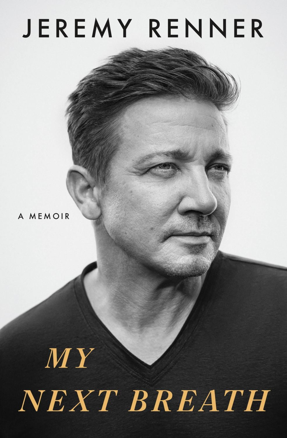 My Next Breath: A Memoir (Hardcover) - Walmart.com