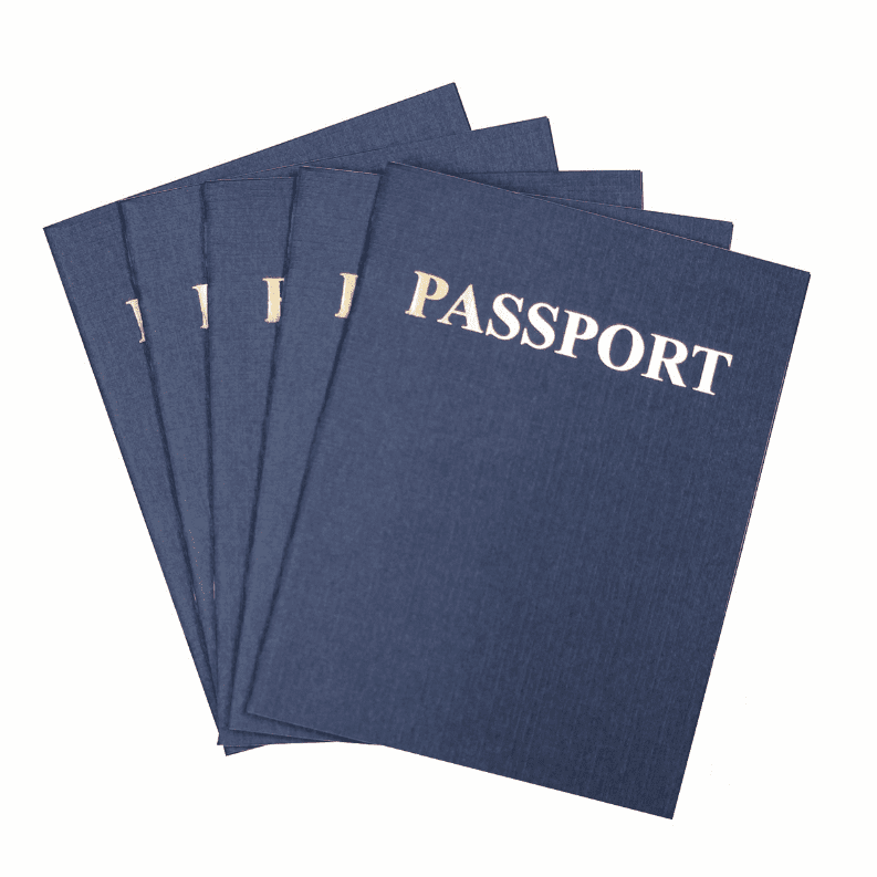 Hygloss My Passport Book per 1 Pack of 5 - Walmart.com