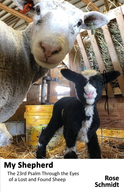 My Shepherd: The 23rd Psalm Through the Eyes of a Lost-&-Found Sheep ...