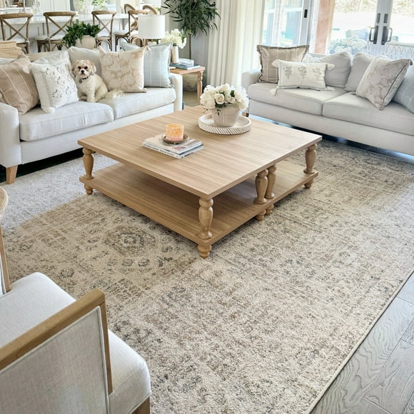 My Texas House Rugs in My Texas House at Walmart - Walmart.com