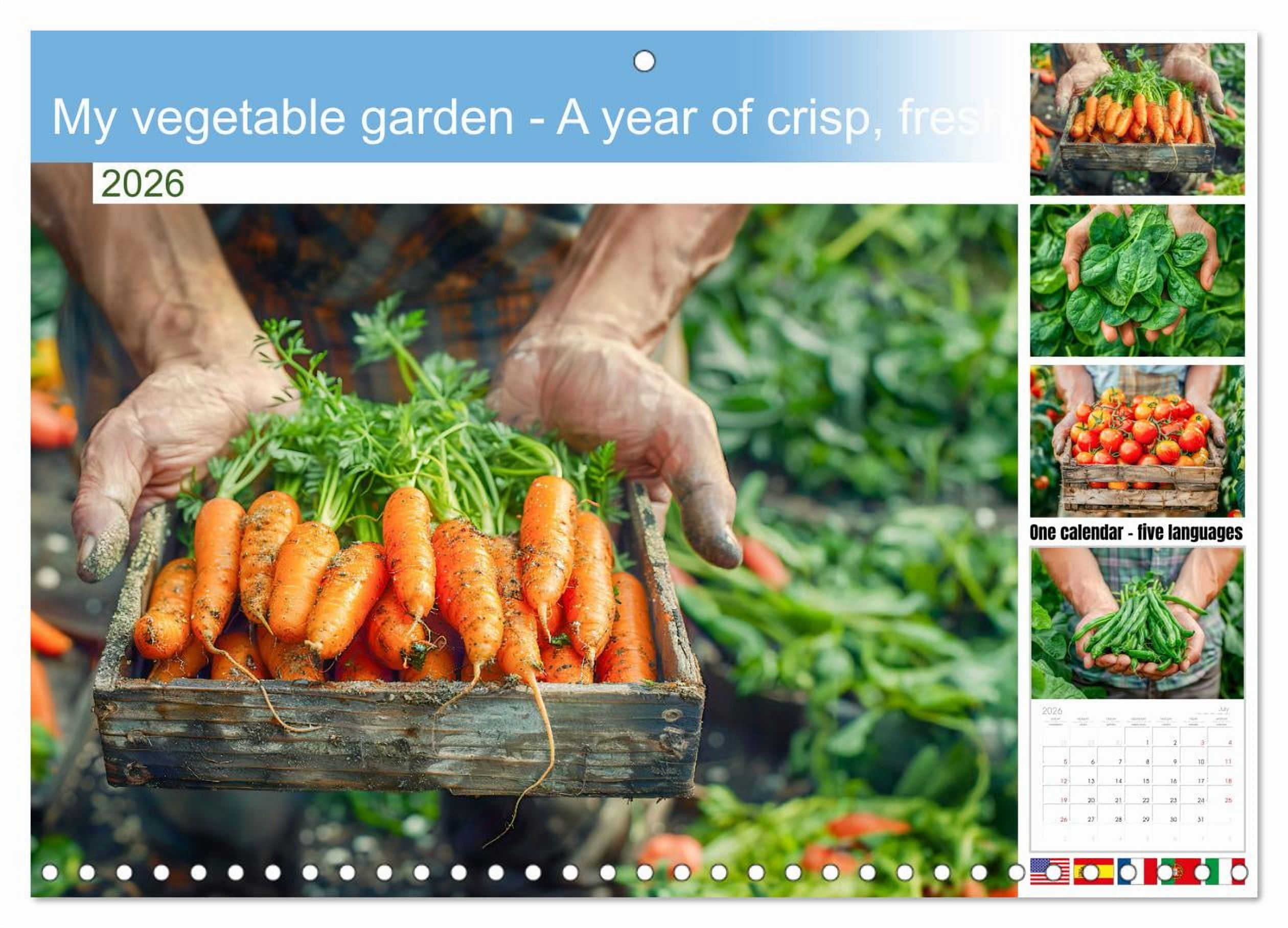 My vegetable garden - A year of crisp, fresh vegetables (Monthly Wall ...