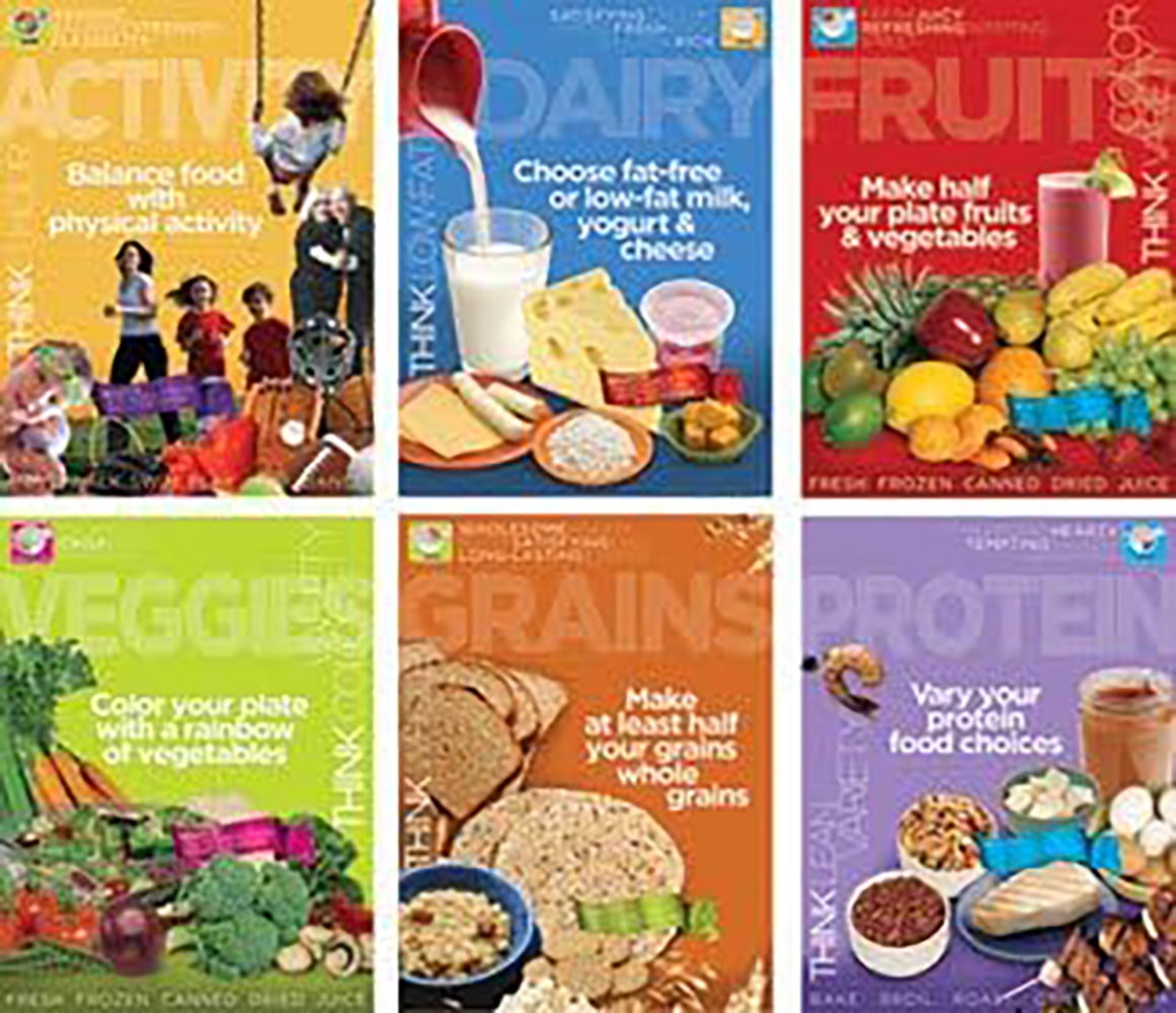 Myplate Food Group Poster Set For Classrooms Health Offices Set Of Six 18” X 24” Laminated