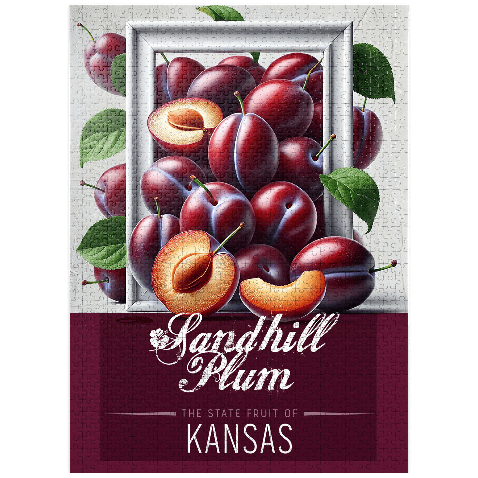 MyPuzzle - Colorful Fruits: Kansas, Sandhill Plum - State Fruits Series ...