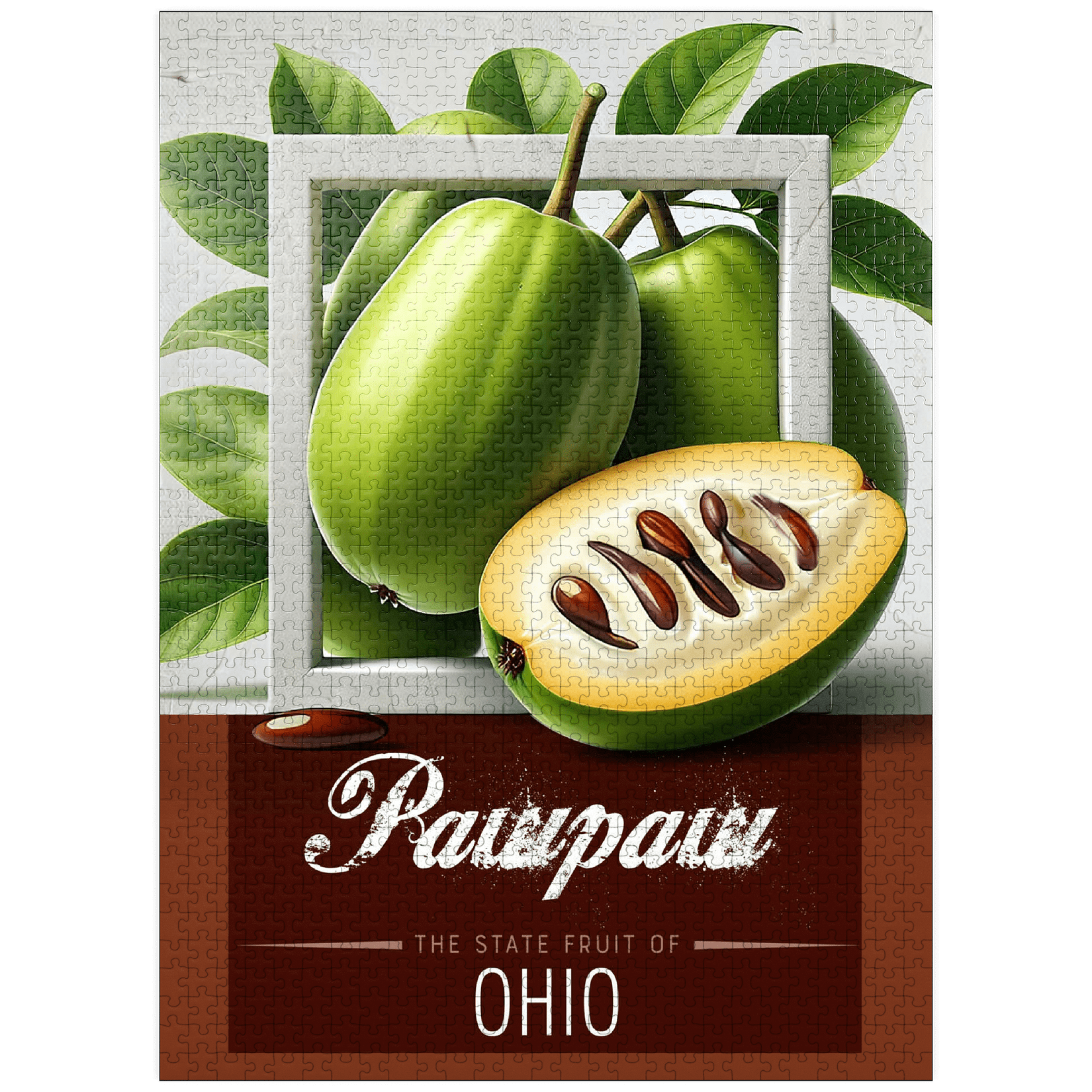 MyPuzzle - Colorful Fruits: Ohio, Pawpaw - State Fruits Series ...