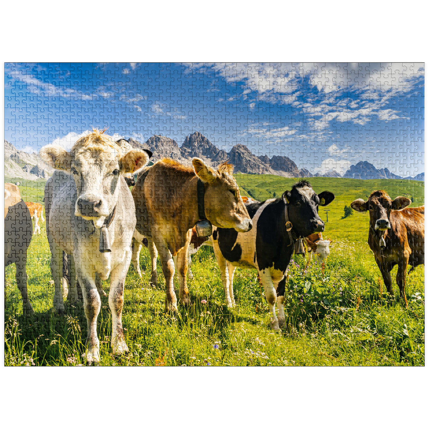 MyPuzzle - Cows In Front Of An Idyllic Alpine Landscape - Premium 1000 ...