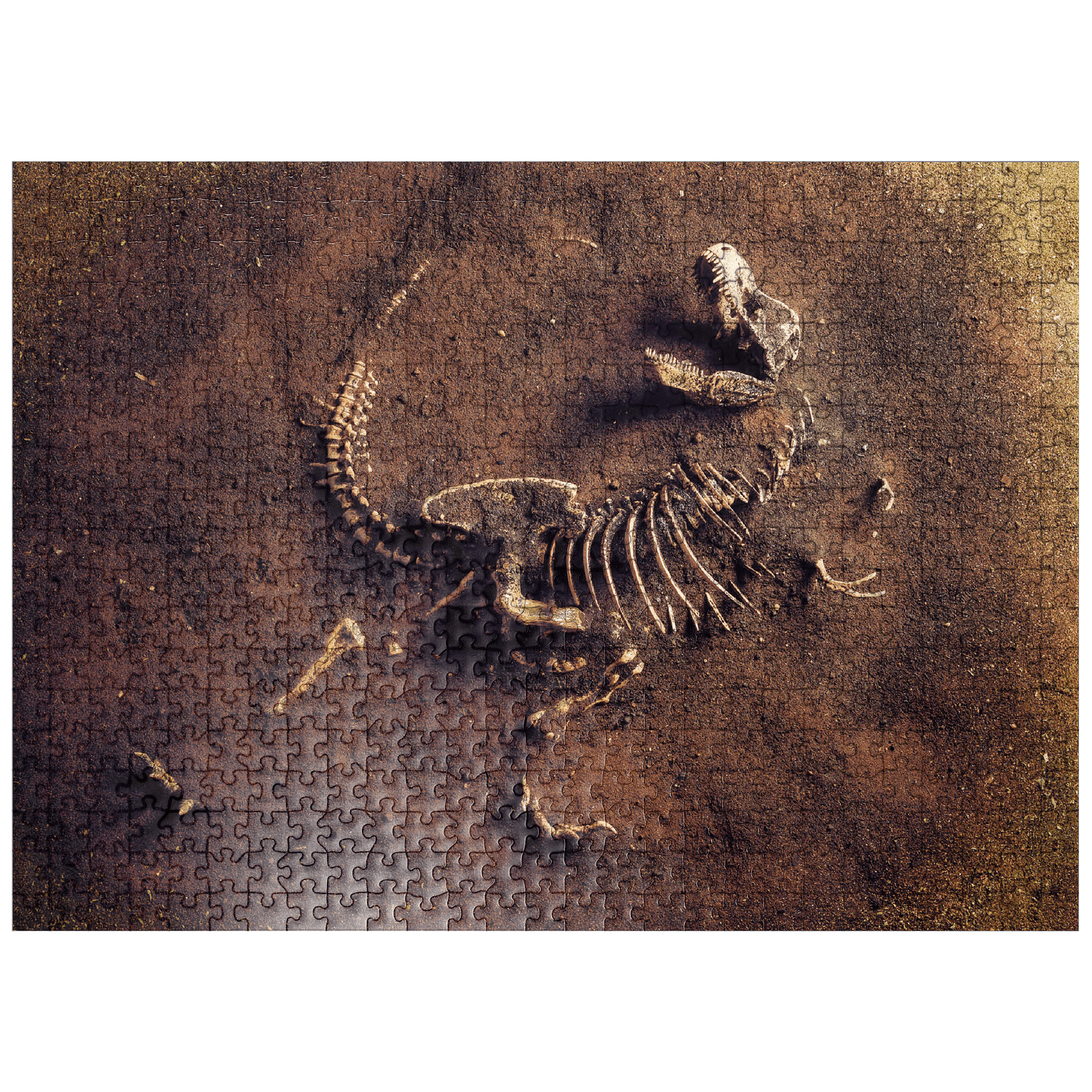 MyPuzzle - Dinosaur Fossil From Archaeologists - Premium 500 Piece ...