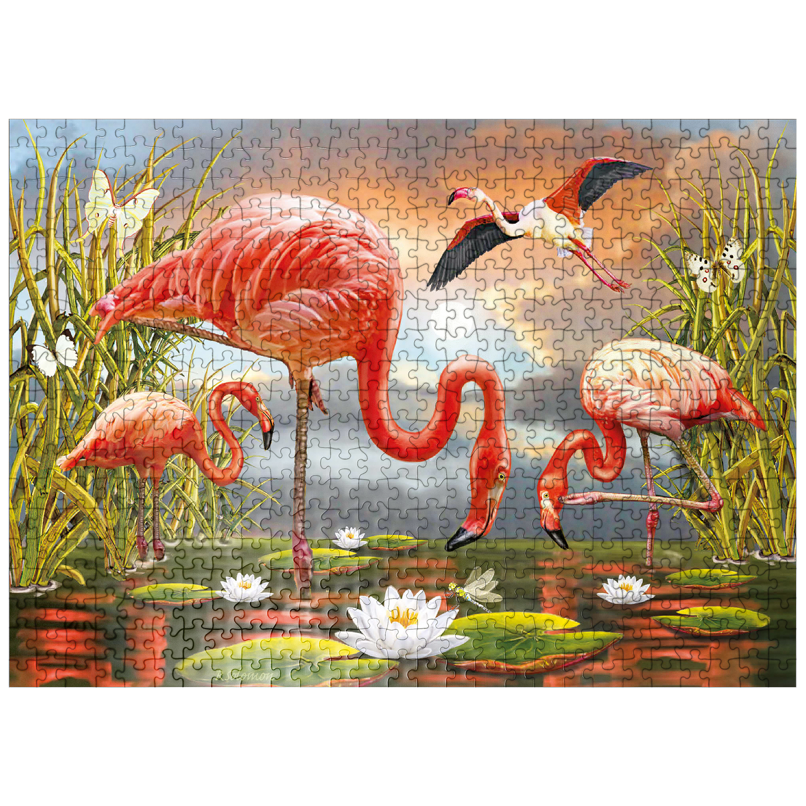 MyPuzzle - Flamingos In A Tranquil Wetland - Premium 500 Piece Jigsaw ...