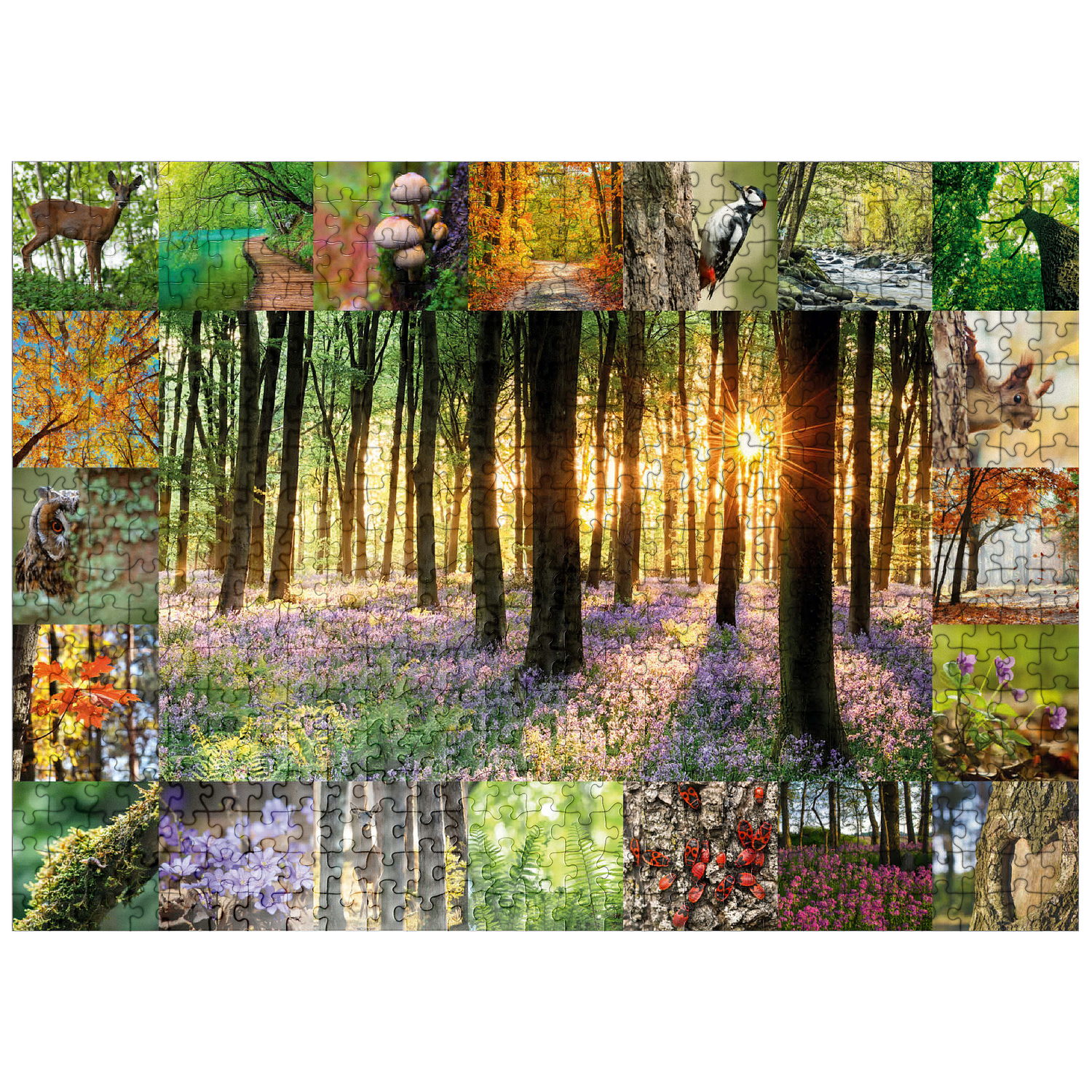 MyPuzzle - Forest Bathing - Collage - Premium 500 Piece Jigsaw Puzzle ...