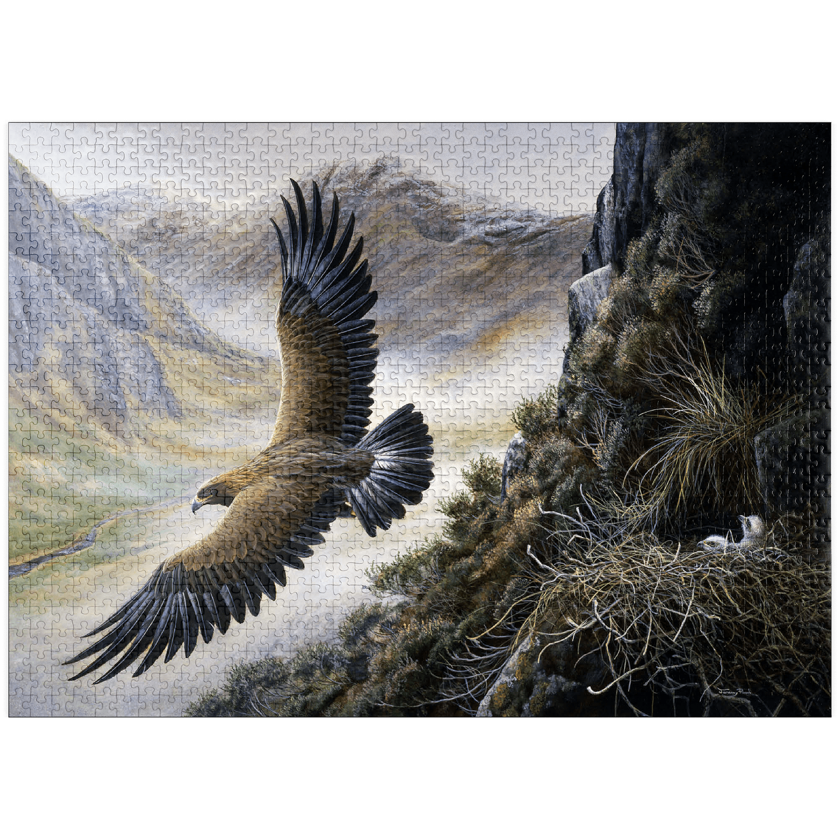 MyPuzzle - Golden Eagle Soaring Over Mountain Nest - Premium 1000 Piece ...