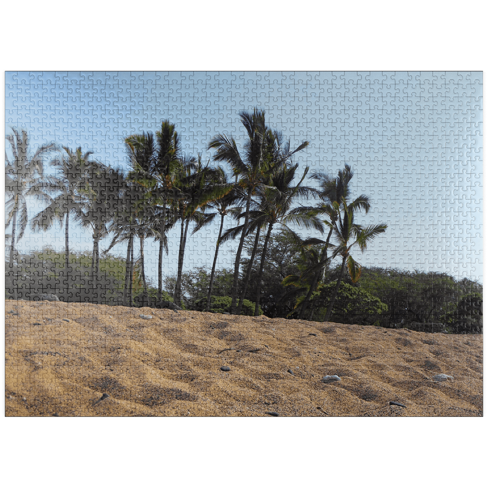 MyPuzzle - Hawaii, The Big Island: Sandy Beach Palm Trees - Premium ...