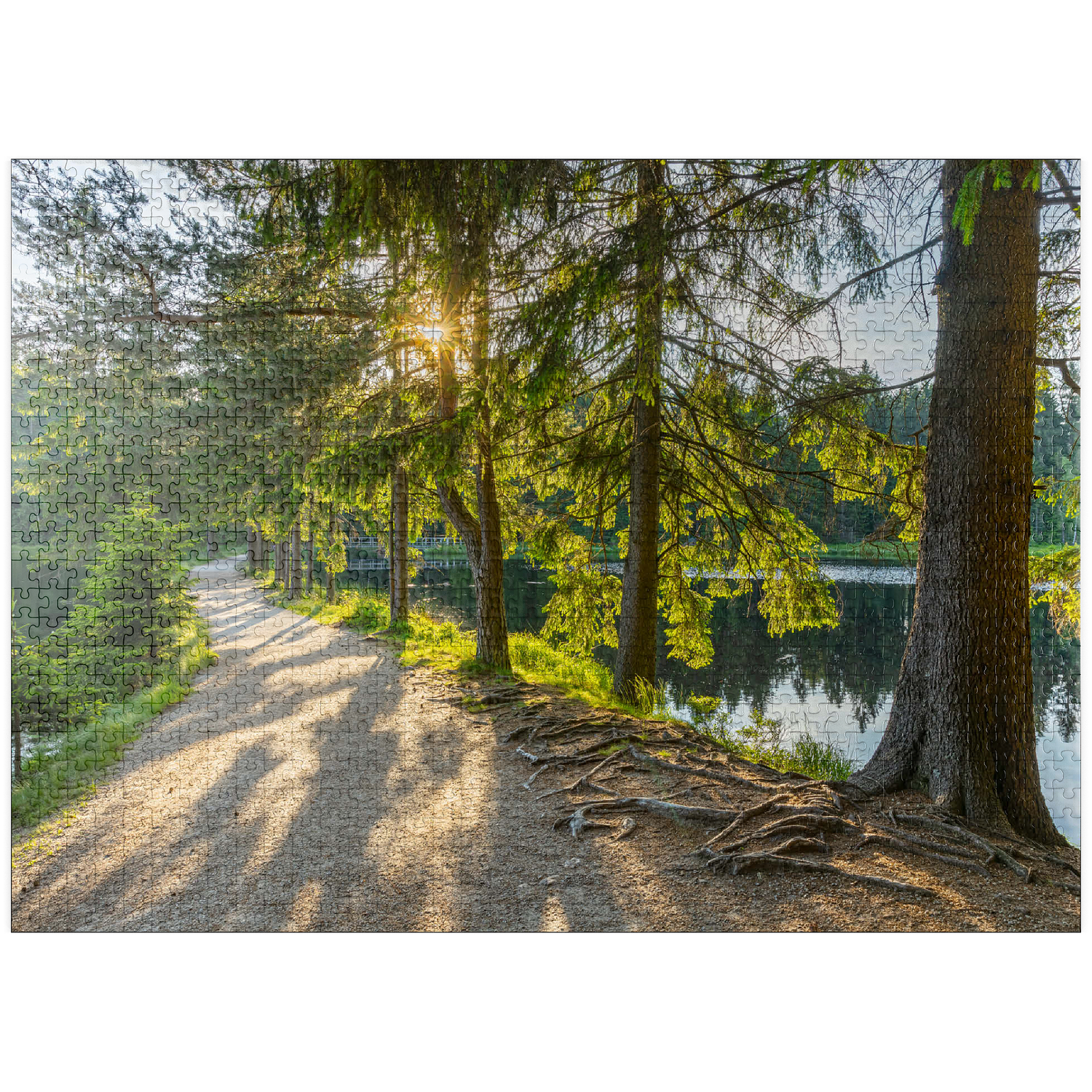MyPuzzle - Lake Fichtel With The Natural Forest Reserve Fichtelseemoor ...