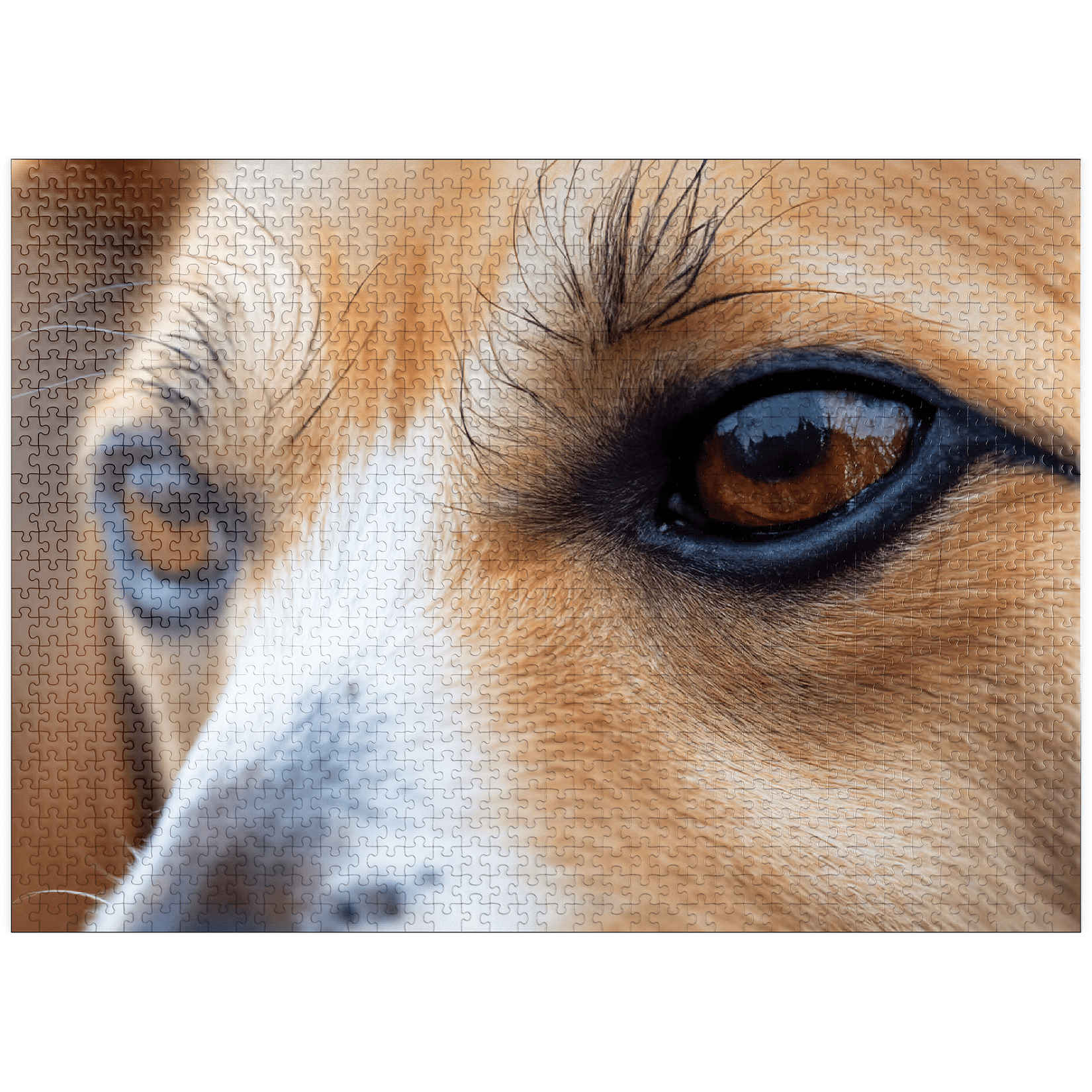 MyPuzzle - Macro Photography: Good Boy Dog Eye - Premium 1000 Piece ...