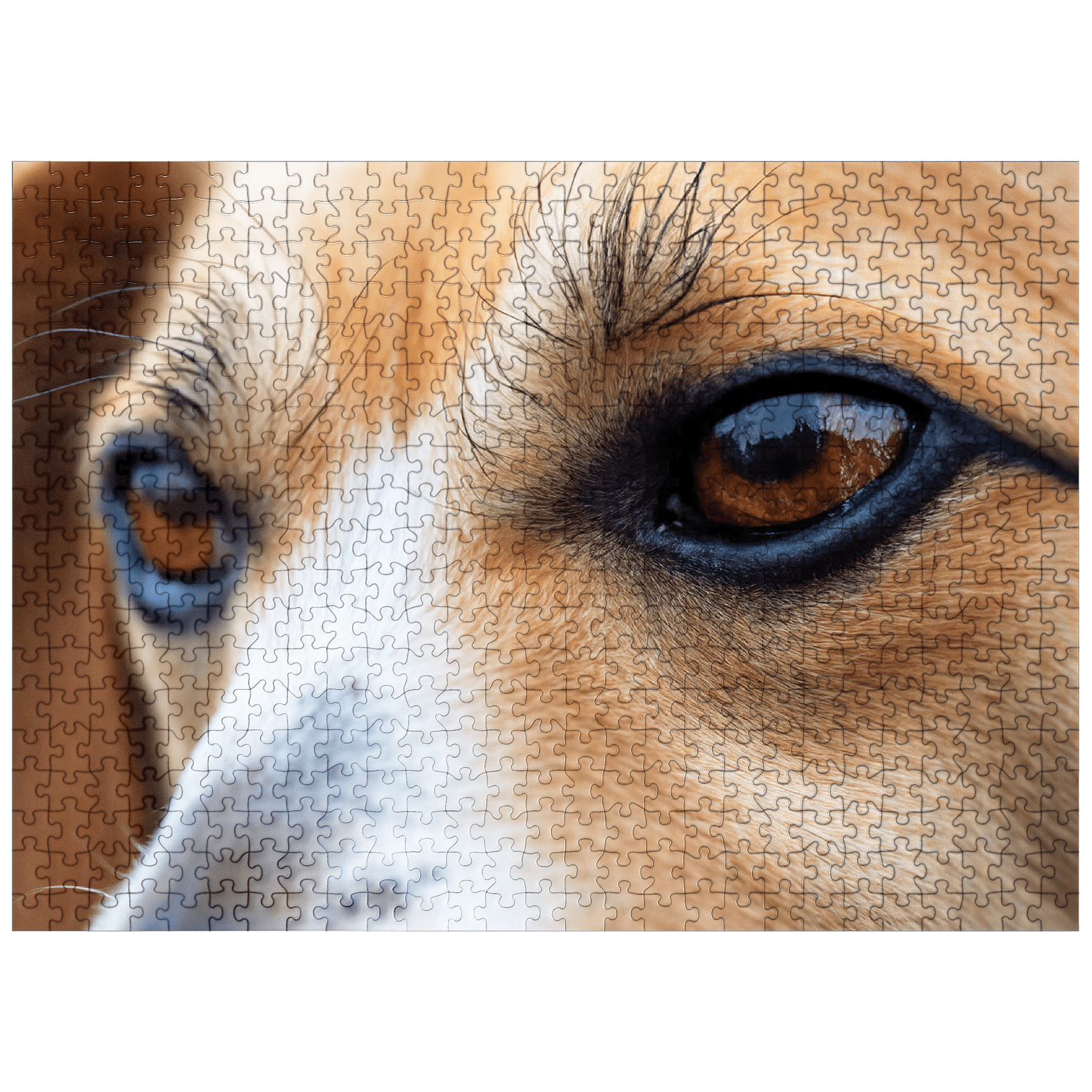 MyPuzzle - Macro Photography: Good Boy Dog Eye - Premium 500 Piece ...