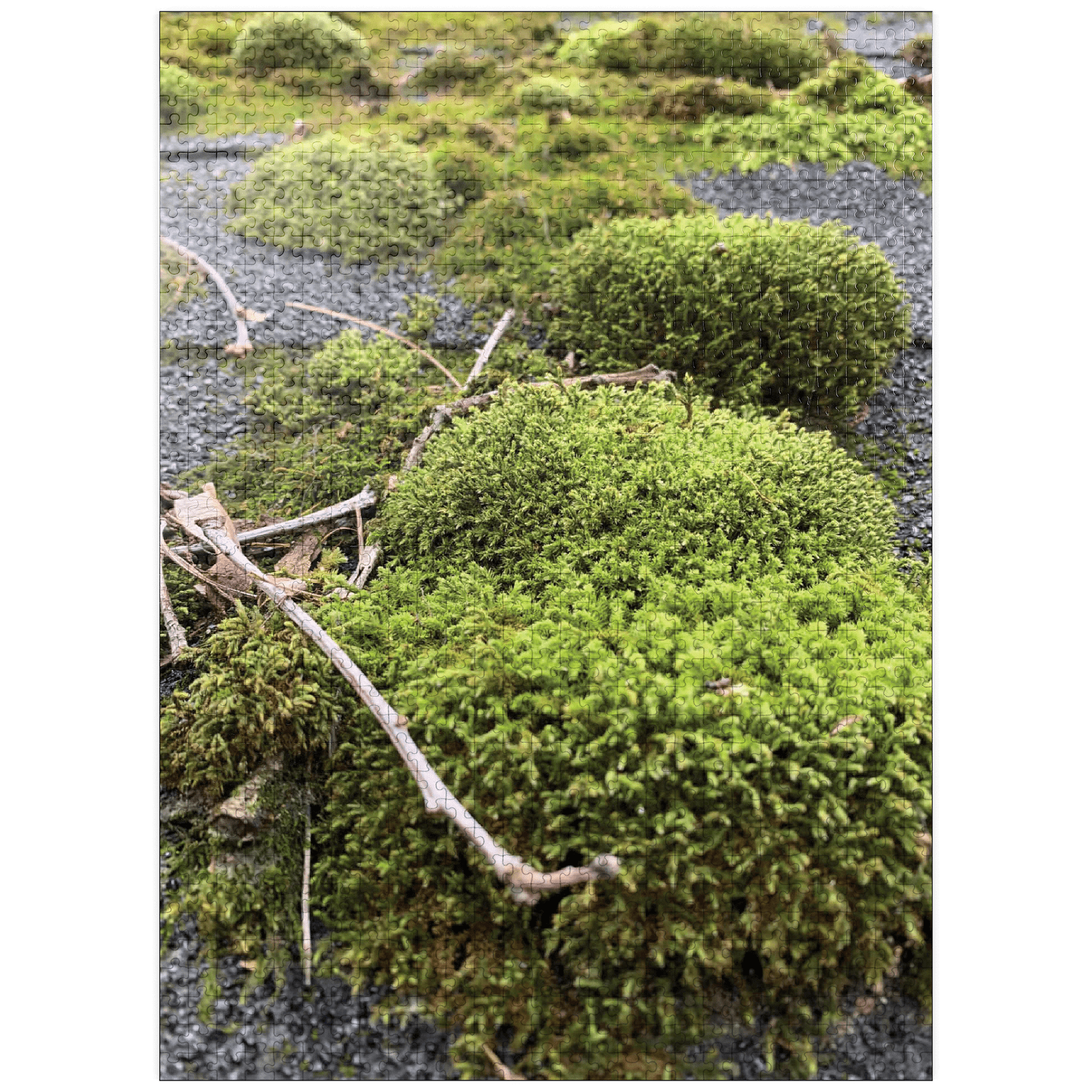 MyPuzzle - Macro Photography: Mossy Rooftop - Premium 1000 Piece Jigsaw ...