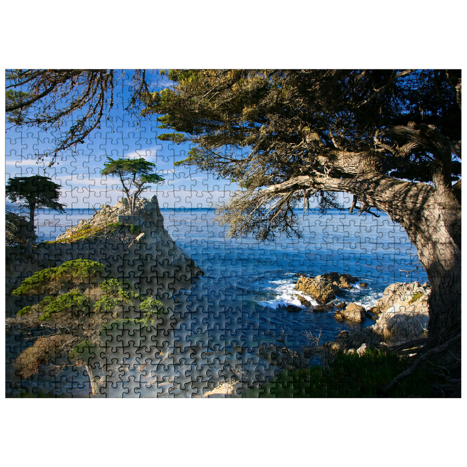 MyPuzzle - Monterey Cypress (Lone Cypress) On The Pacific Coast Near ...