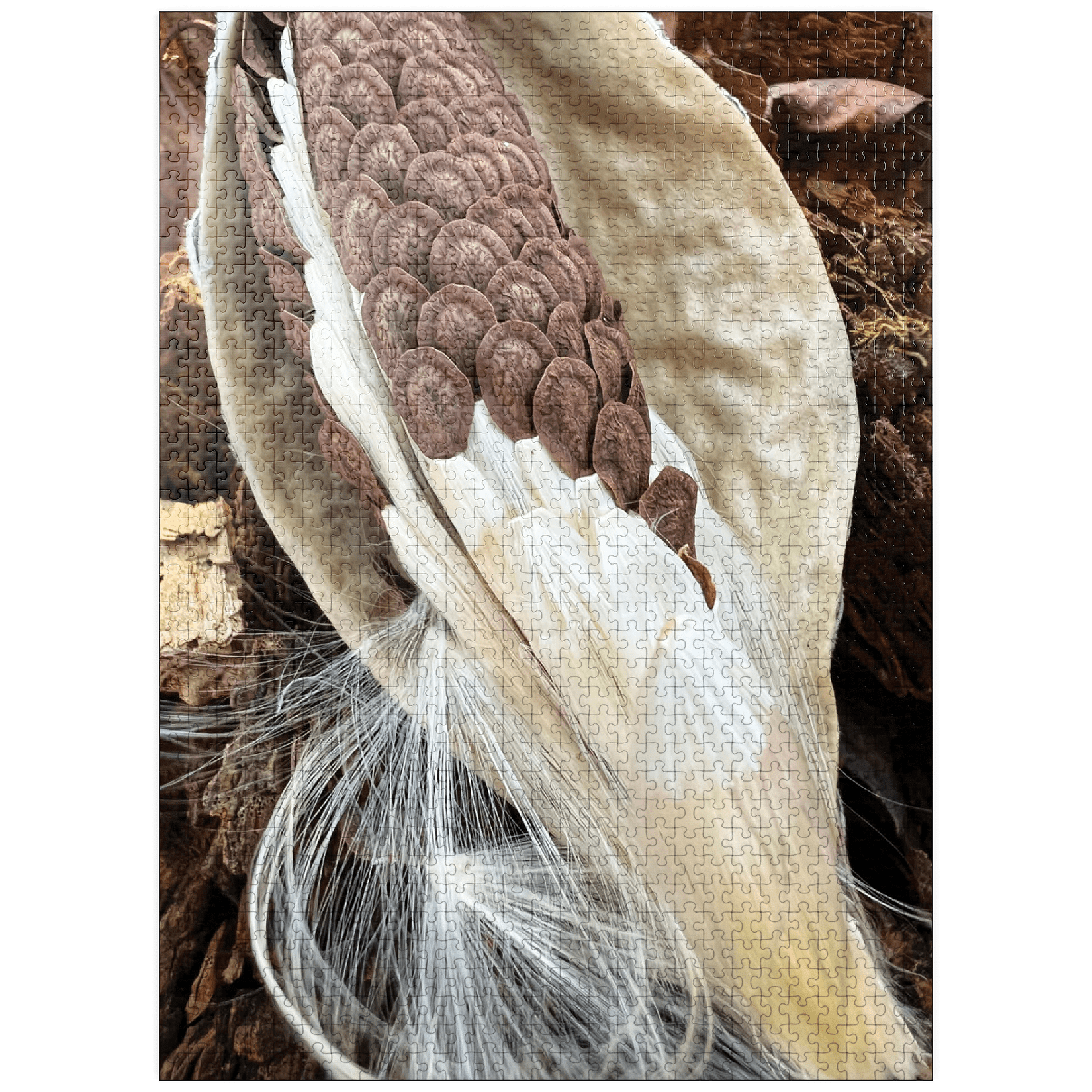 MyPuzzle - Nature Photography: Milkweed Seeds Pod - Premium 1000 Piece ...
